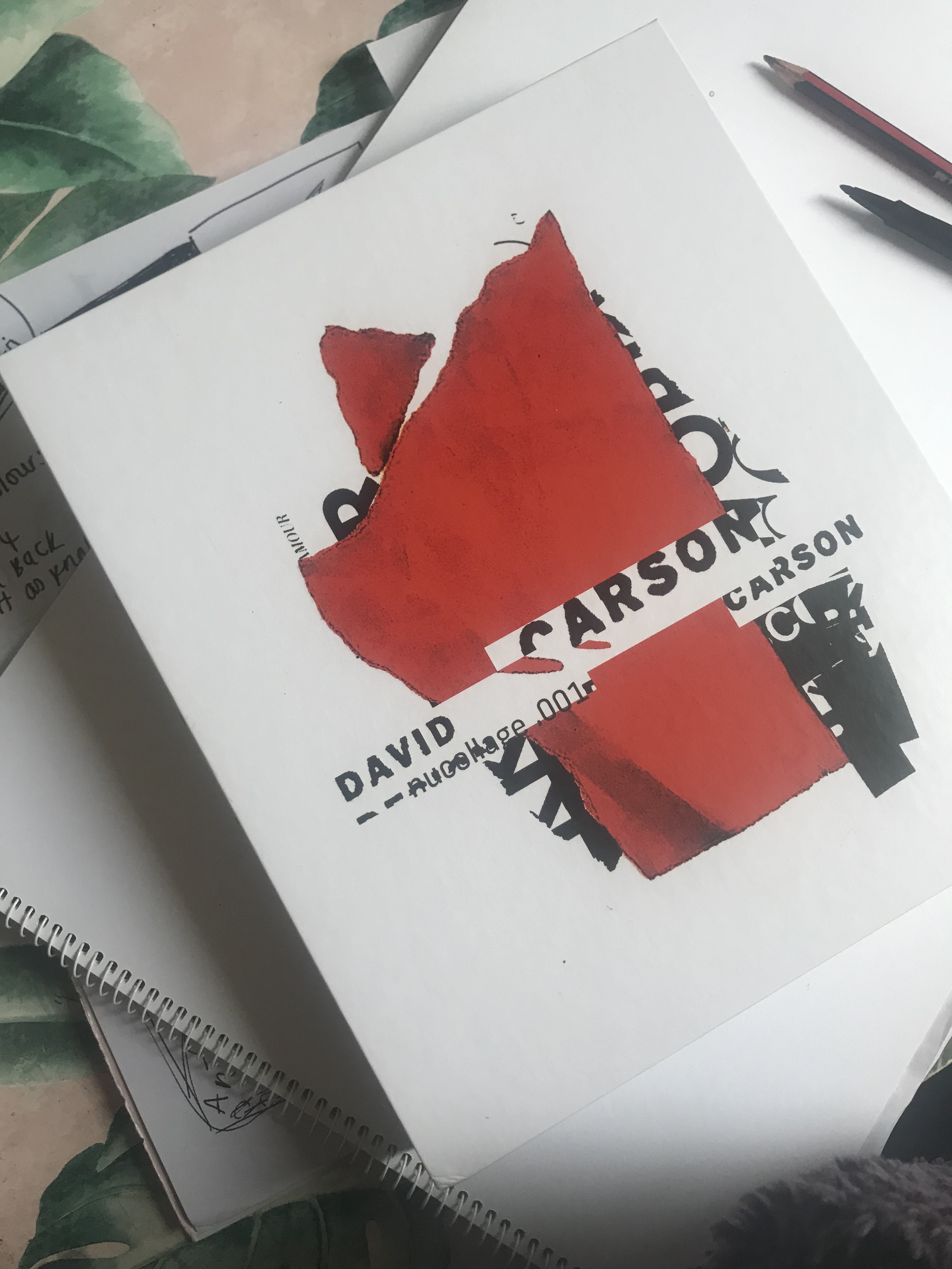 David Carson: Nu Collage (and my 5 mins of fame)